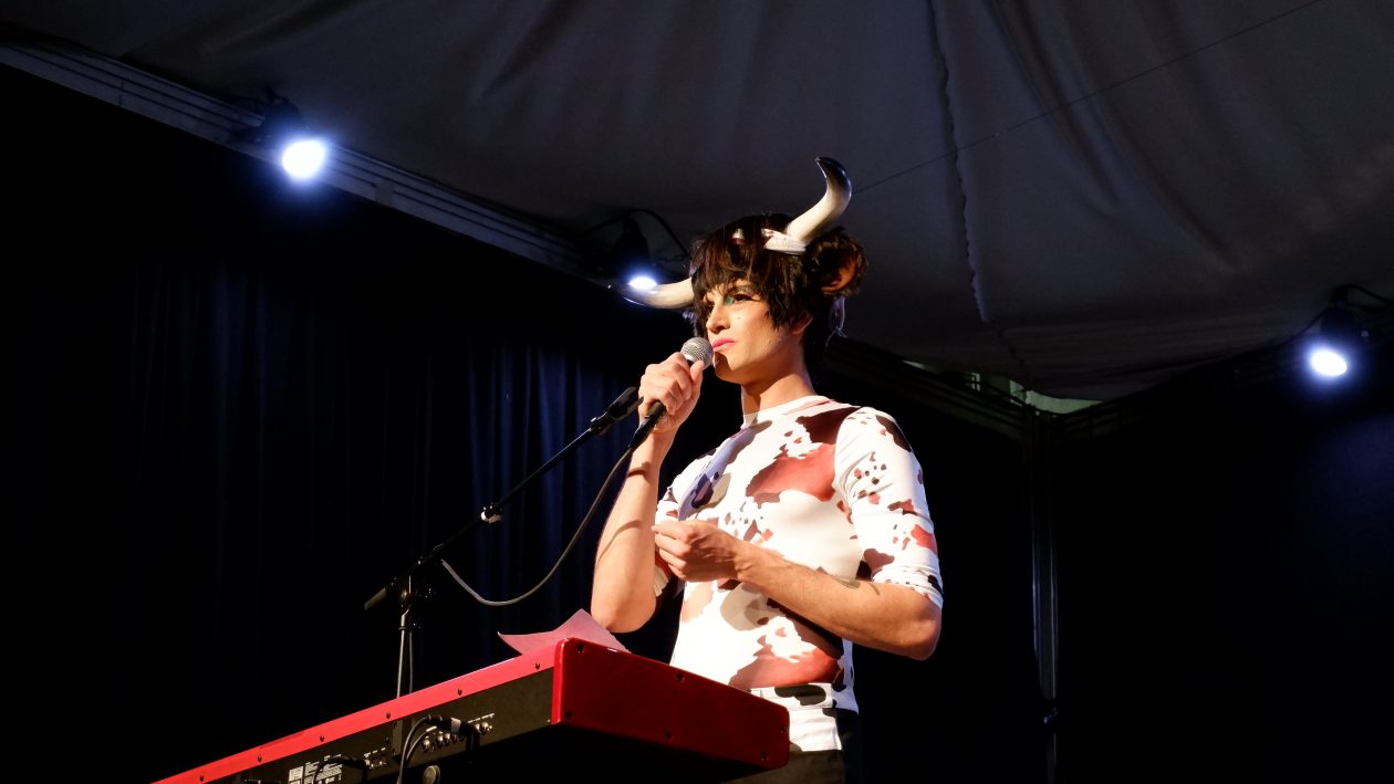 Soya the Cow – stadtbesetzung